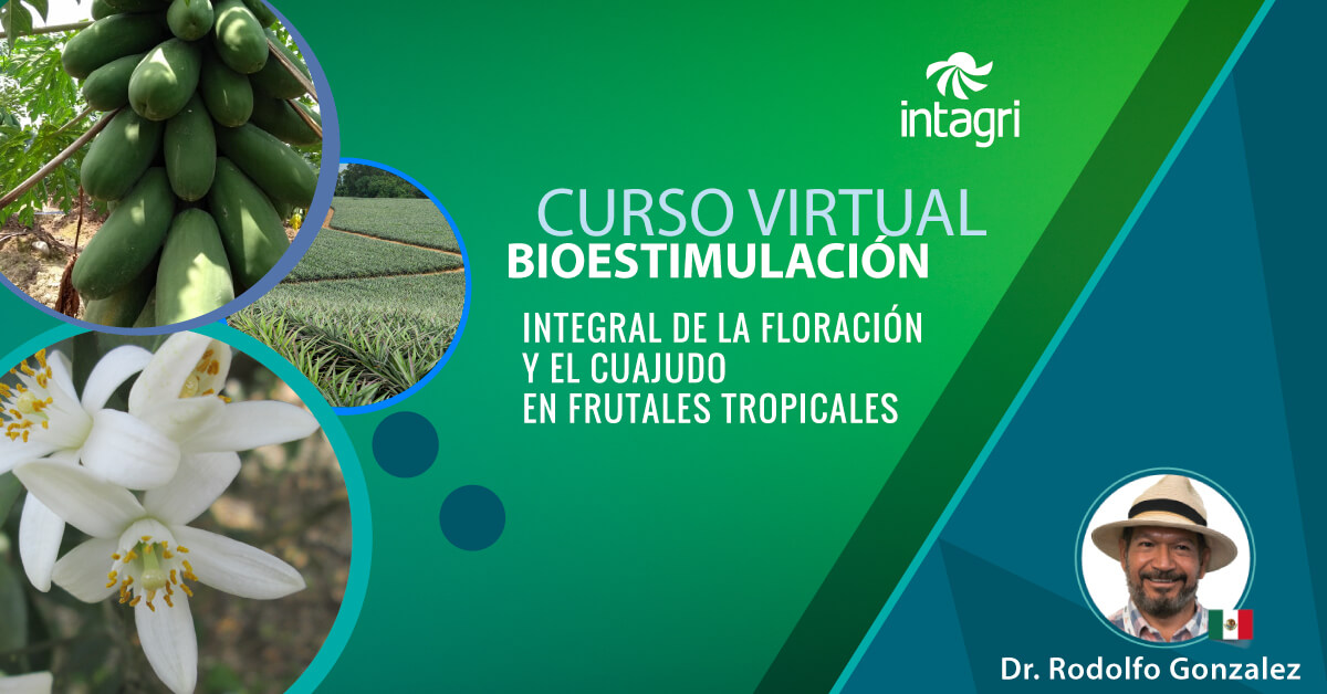 Curso Virtual Bioestimulación Integral de la Floración y el Cuajado en Frutales Tropicales ...